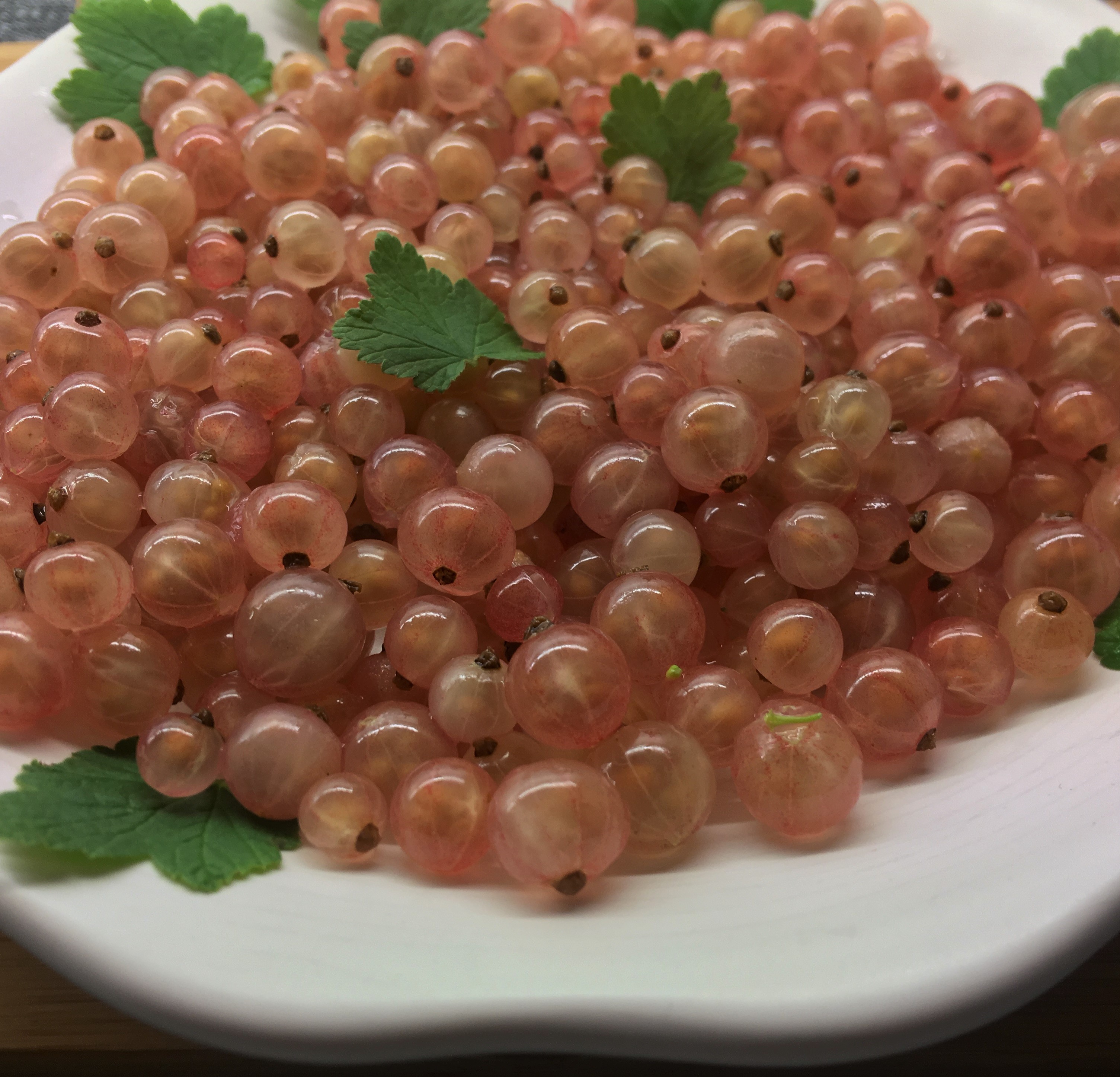 Abrikozen in roze Aalbessen gelei – Cultfood